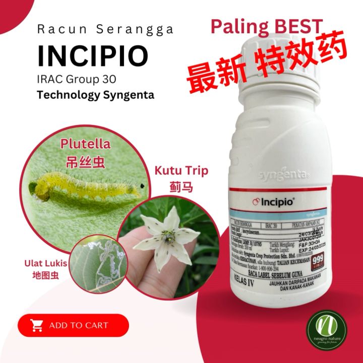 Syngenta INCIPIO 250ml Racun Serangga Plutella Kutu Trip Ulat Batang ...