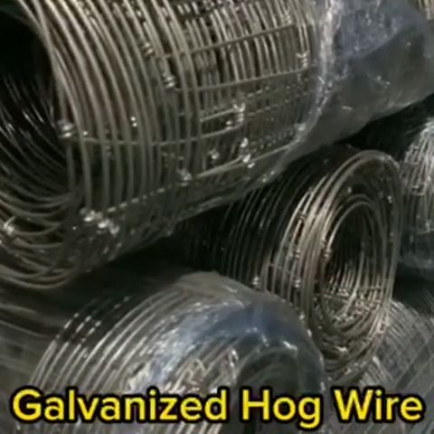 Galvanized Hog Wire Fence Panels Thickened Steel No Rust Wire for Goat ...