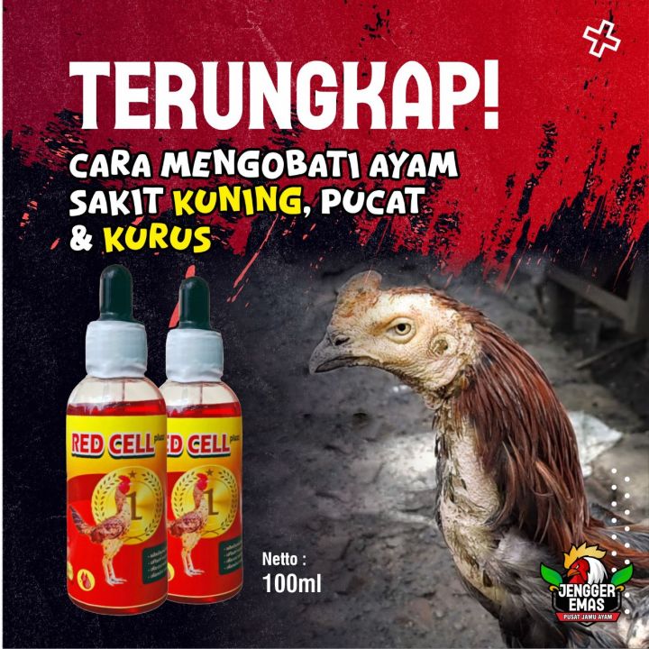 RED CELL Original - Suplement obat Ayam - Kuning - Pucat - Anemia ...