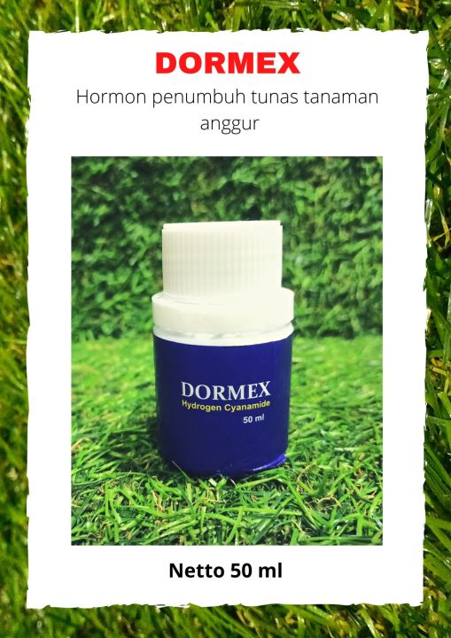 Dormex hormon penumbuh bud anggur | Lazada Indonesia