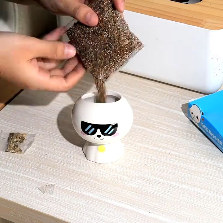Pasu Tanaman Mini Comel Hadiah Hiasan Meja Hijau Dalaman Untuk Pejabat ...