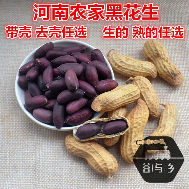 New Product Black Peanut Mingren Henan Black Peanut Peanut Shell ...