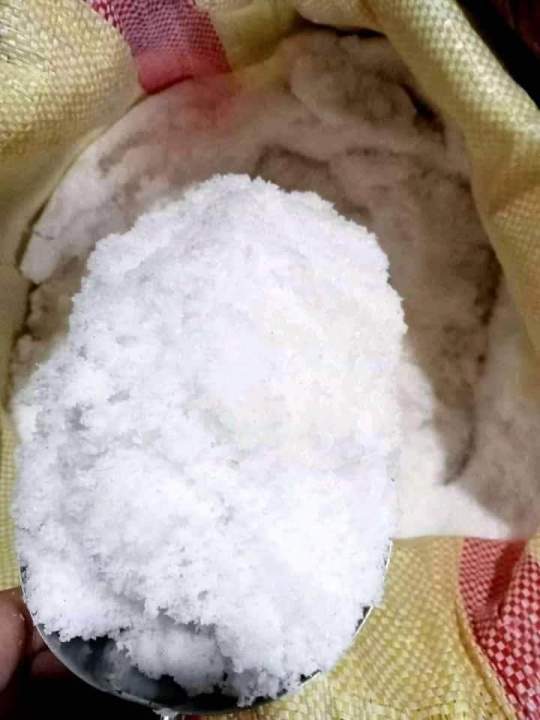 Rock Salt 500g/Pack | Lazada PH