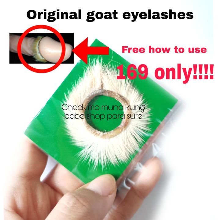 Original goat eyelashes/Pilik mata ng kambing or pampadulas | Lazada PH
