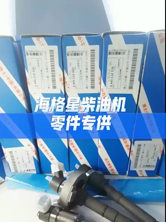 4 Cylinder 110 Series 0445110511 Compatible with Diesel Common Rail ...