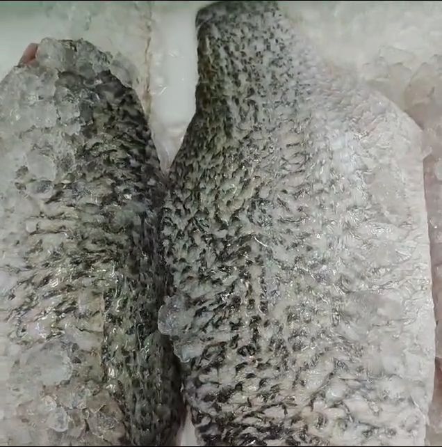 食甲鱼片 | Isi IKAN SIAKAP | BARRAMUNDI FILLET | Lazada