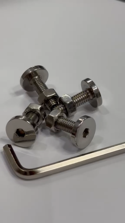 Stainless Plate Bolt 4 pc 6x20 Mirror Finish With Allen Hex Key Plaka Bolt | Lazada PH