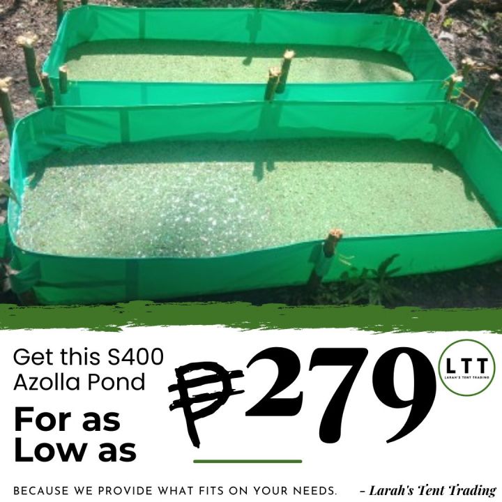 4x2x1ft HIGH QUALITY AZOLLA BEDS AND AZOLLA POND Original S200 Brand ...