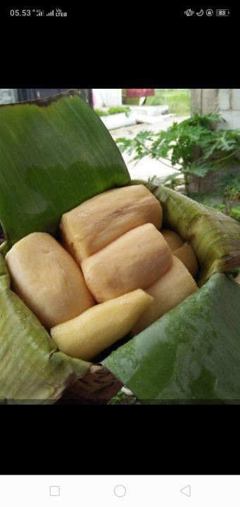 tape singkong mentega 3 kg plus besek bikin ketagihan | Lazada Indonesia