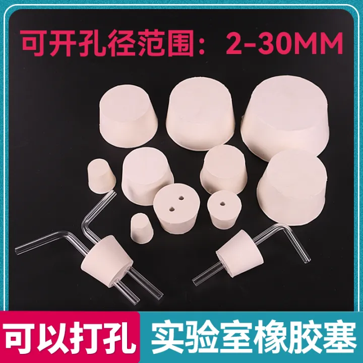 Lab Rubber Stopper with Hole Glass Filter Bottle Conical Flask Single ...