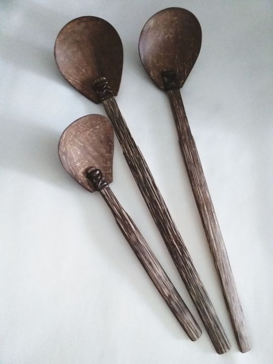 Native Sandok/ Coconut Shell Ladle | Lazada PH