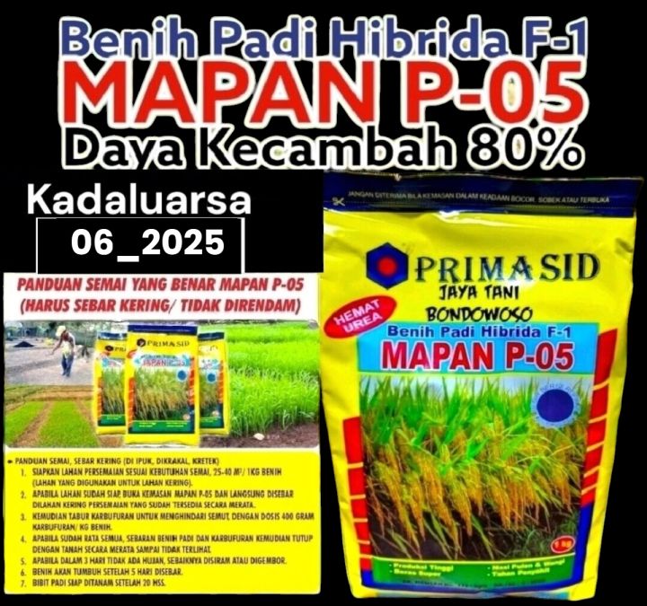 Benih Padi Mapan P-05, Daya kecambah 80%, EXP juni 2025 | Lazada Indonesia