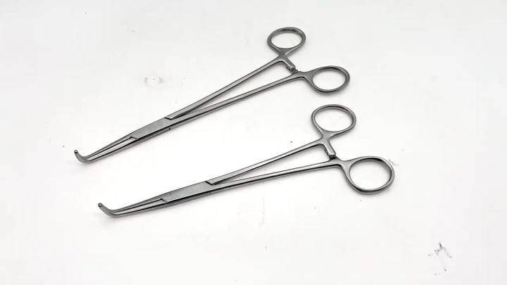 Kidney Pedicle Clamp Locking Clamps Hemostatic Forceps Arterial Forceps ...