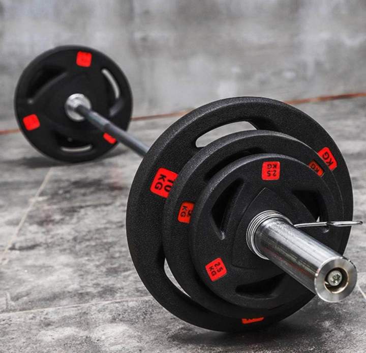 Grip Disc Olympic Weight Plates (Pairs) | Lazada PH