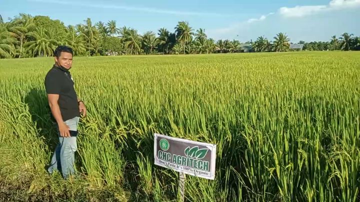 CHC Agritech 100 grams Farmer's Friend organic soil conditioner for all ...