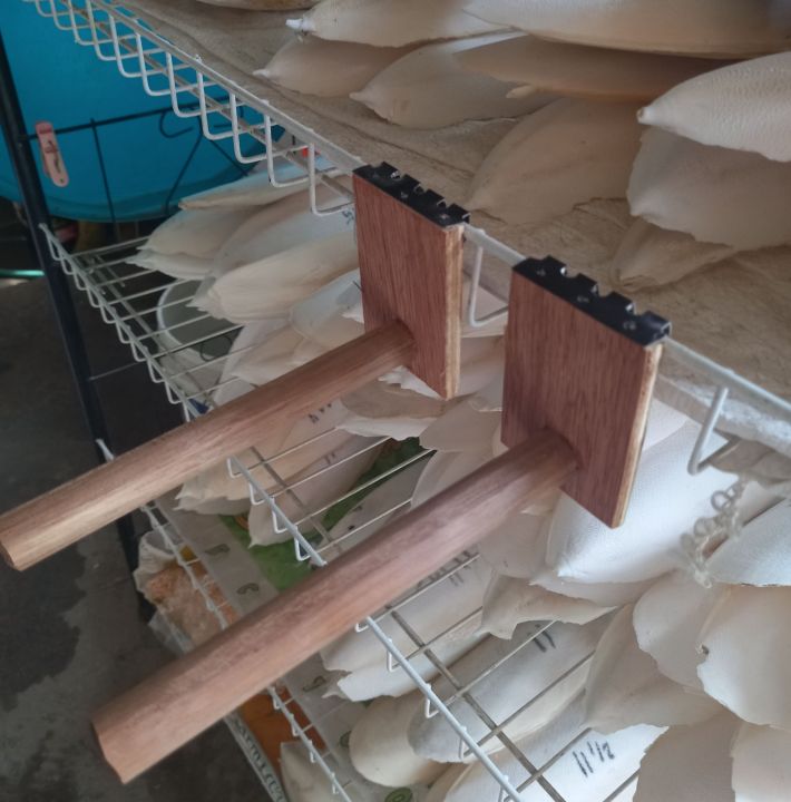 Wood perch 6 and 10 inches long. | Lazada PH