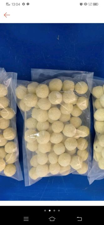Porous Balls Aquarium Filter Media 500g | Lazada PH