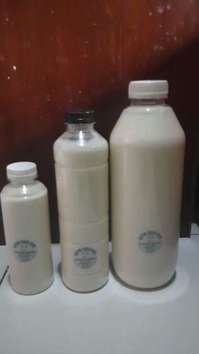 KRAMAT - Kefir susu sapi botol 500 ml | Lazada Indonesia