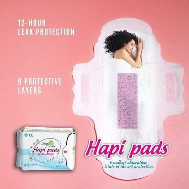 Hapi Pads Pantyliner | Lazada PH