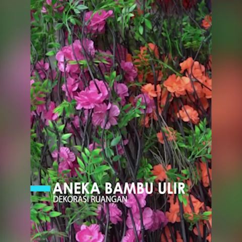 Bunga Bambu Ulir 10 Batang Berbagai Macam Warna Tinggi 2 meter ( TIDAK ...