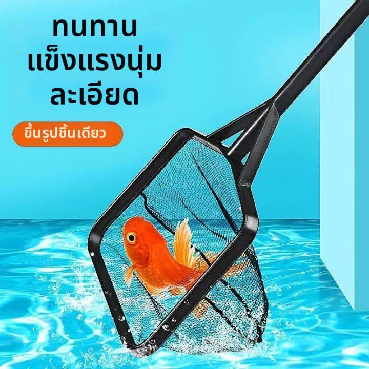 PH | ตาข่ายปลาขนาดเล็ก | Lazada.co.th