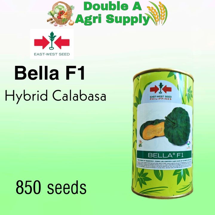 Bella F1 Hybrid Calabasa - East West Seed | Lazada PH