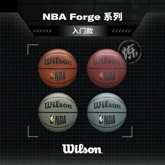 Toby's Sports WILSON NBA WNBA Authentic Outdoor Basketball SIZE 7 ...