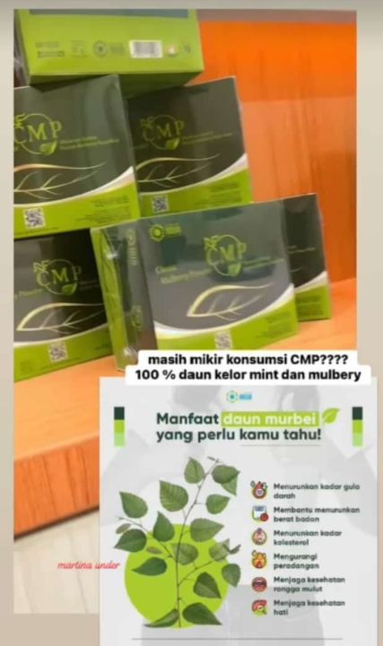 CMP clorofil daun mulberry powder | Lazada Indonesia