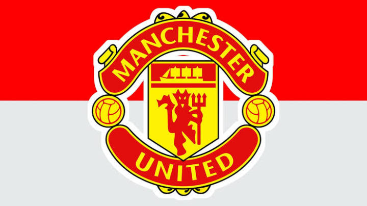 Bendera Manchester United Bahan Satin Uk 120x85Cm,Warna Menyala,Bisa ...