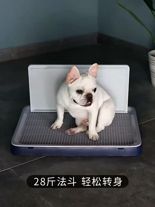 🐶With Baffles and Columns🐶Pet Toilet Dog Training Potty Pad (With Stand ...