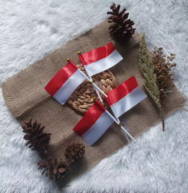 Bendera Silang Merah Putih , Bendera Ceplok Di kaca (SATUAN) | Lazada ...