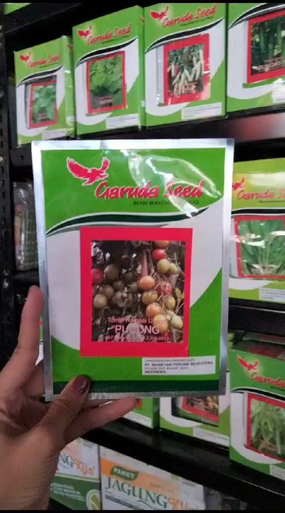 Benih Tomat Rampai Unggul 'PUCUNG' Garuda seed | Lazada Indonesia Benih Tomat Rampai Unggul 'PUCUNG' Garuda seed | Lazada Indonesia