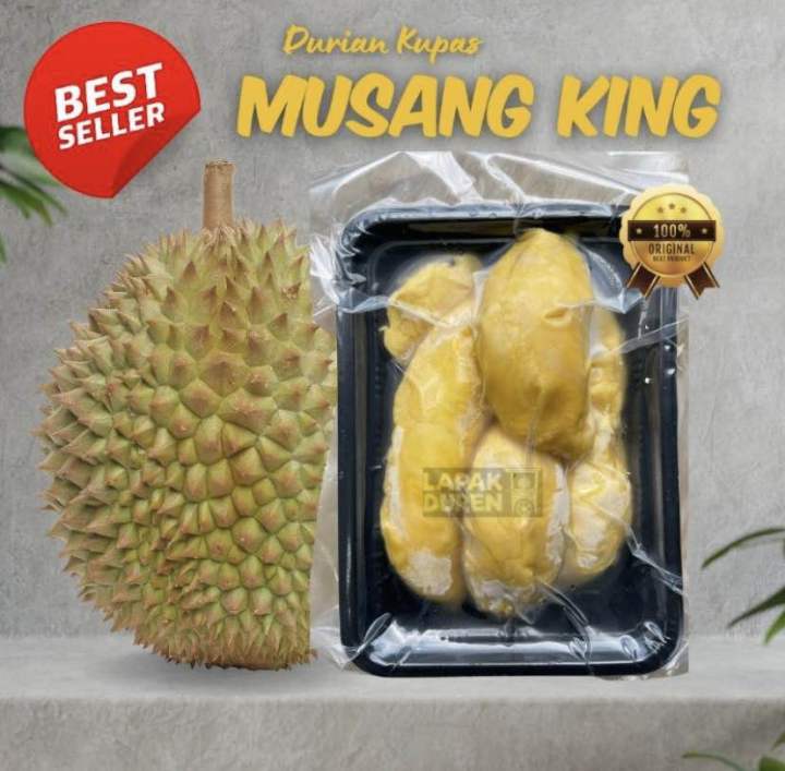 DURIAN MONTONG MUSANG KING ASLI IMPORT MALAYSIA // DURIAN MONTONG KUPAS MUSANGKING SIAP SANTAP ...