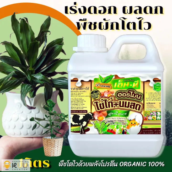 ฮอร์โมนโมนไข่ นมสด 💥😲สุดยอดพลังโปรตีนandแคลเซียมคูณ2💥😲 เร่งผลดก ออกดอก
