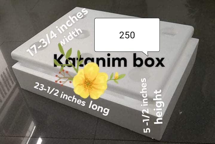 HYDROPONICS KRATKY KATANIM BOX | Lazada PH