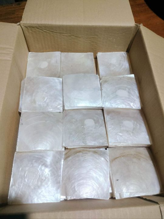 capiz shell 100pcs | Lazada PH