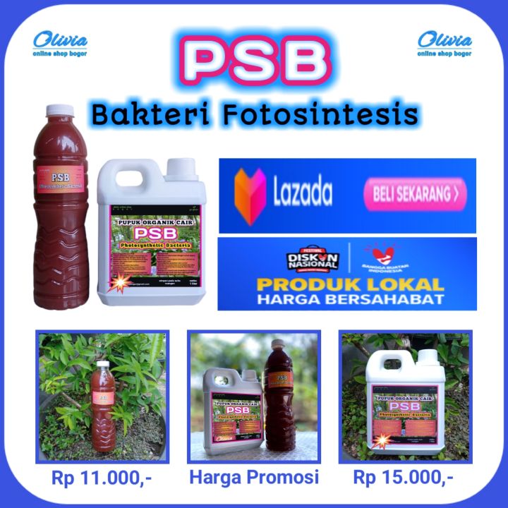 Bakteri Fotosintesis/PSB/Pupuk Organik Cair/Pupuk Semua Jenis Tanaman ...