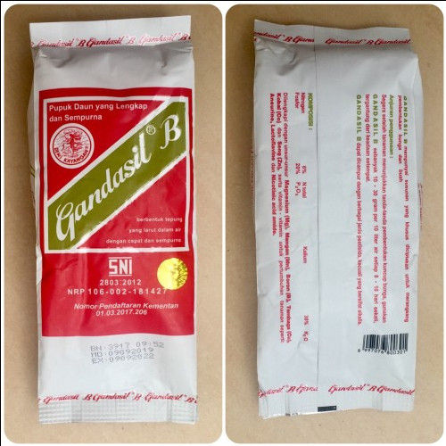 [IMPORTED] Gandasil B 500g | Lazada