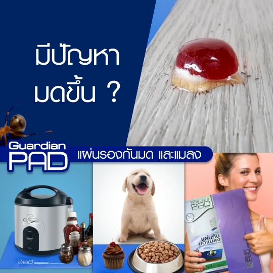 Anti ant pad แผ่นรองมด ไล่มด แผ่นกันปลวก แผ่นรองกันมด แผ่นกันมด แผ่นรอง ...