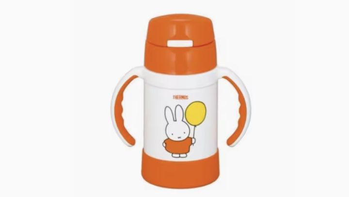 THERMOS MIFFY BOTTLE (FEC-280B) ORANGE | Lazada