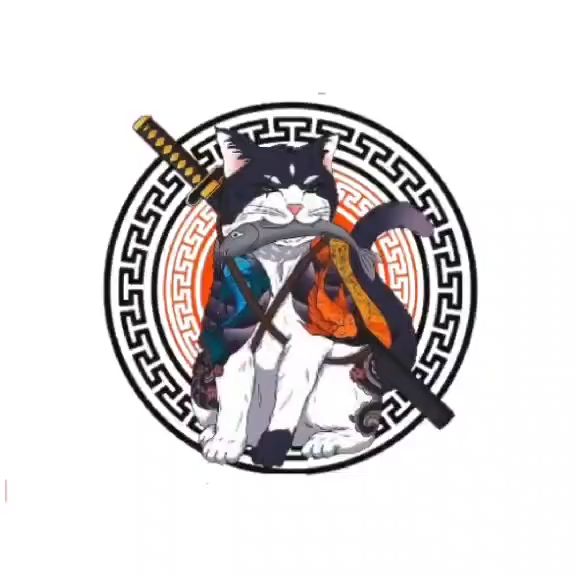 matting for E-bike ERVS Ervs2 , ERVS 4, ERVS 3 AND NWOW EMC FULL COVER ...