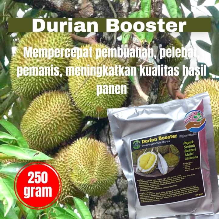 Pupuk Organik Booster Buah Durian Super Pelebat Dan Anti Rontok 250gr | Lazada Indonesia