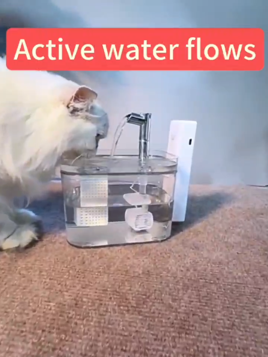 Cat Water Fountain Wireless Induction Pet Water Dispenser With Loop ...
