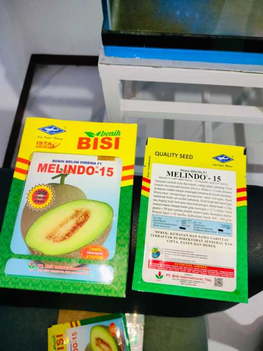 Benih Melindo 15 Tavi F1 (Tipe Melon Madu, Perawatan Mudah, Tahan Virus ...