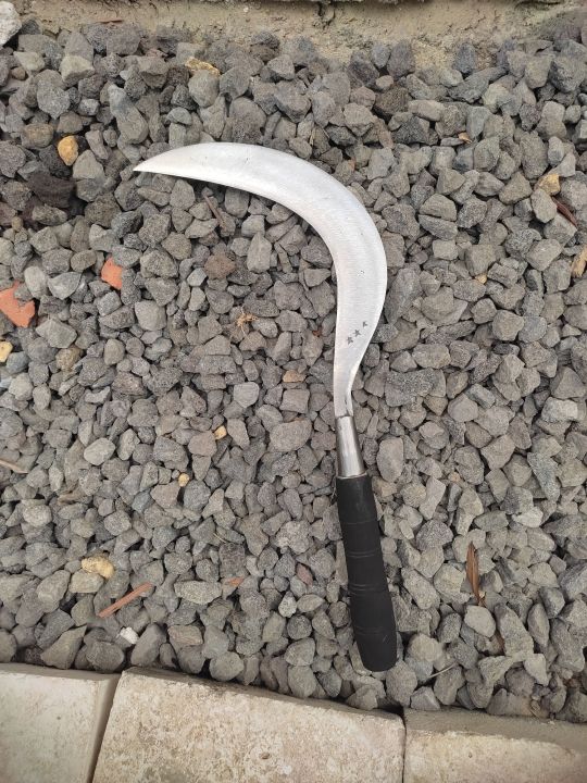 alat pertanian arit rumput padi kayu baja asli | Lazada Indonesia