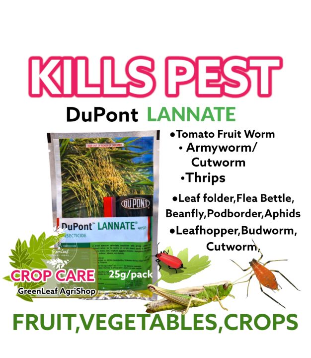 LANNATE 40SP INSECTICIDE 25g/Pack | Lazada PH