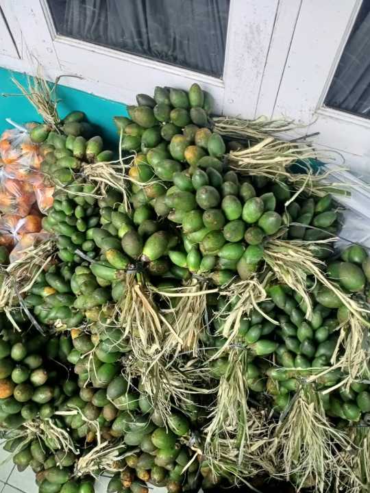 buah pinang /jambe muda tanggung hijau untuk berbagai keperluan baik ...