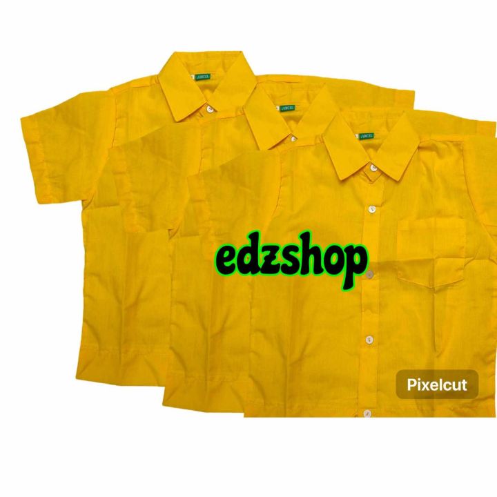 polo yellow gold school uniform | Lazada PH