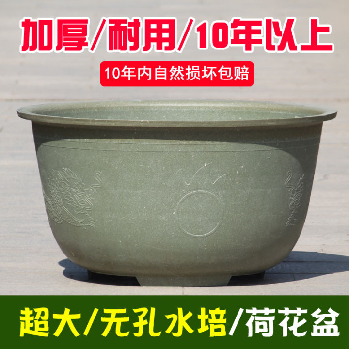 Yiheyuan Lotus Flowerpot Bowl Lotus Water Lily Flowerpot Potted Plant ...