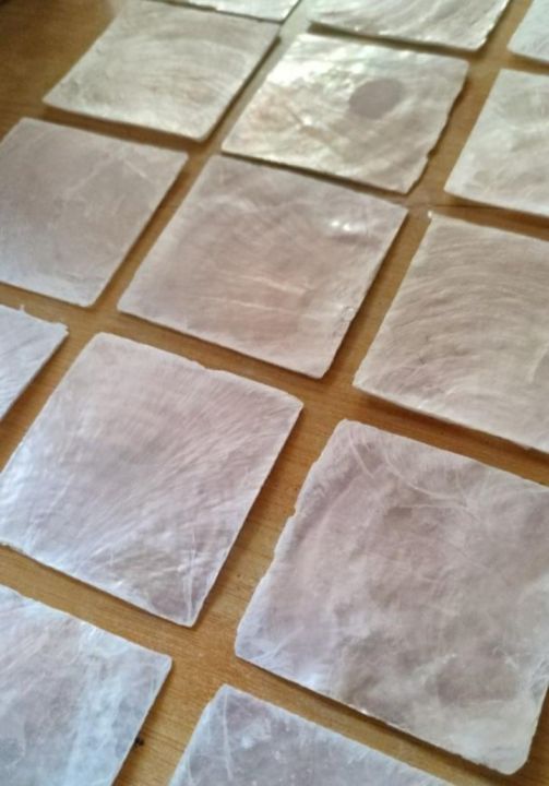 Capiz shells square cut 3" size wash 100pcs | Lazada PH